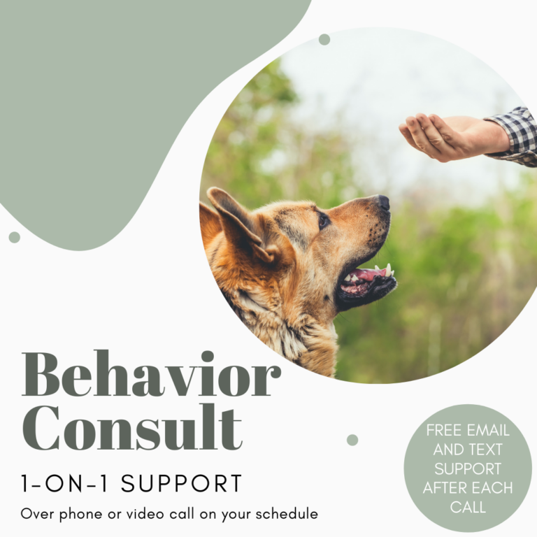 1 Hour Dog or Cat Behavior Consultation Call | Journey Dog Training