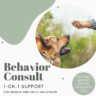 1 Hour Dog or Cat Behavior Consultation Call | Journey Dog Training