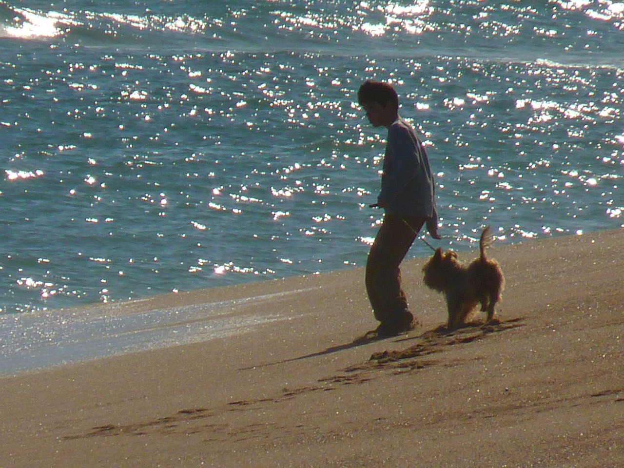 Six Easy Ways to Keep Kids Safe Around Dogs – Journey Dog Training