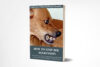 How to Stop Dog Aggression | Journey Dog Training