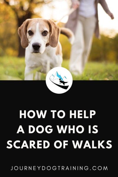 Help! My Dog is Scared of Going Outside! | Journey Dog Training