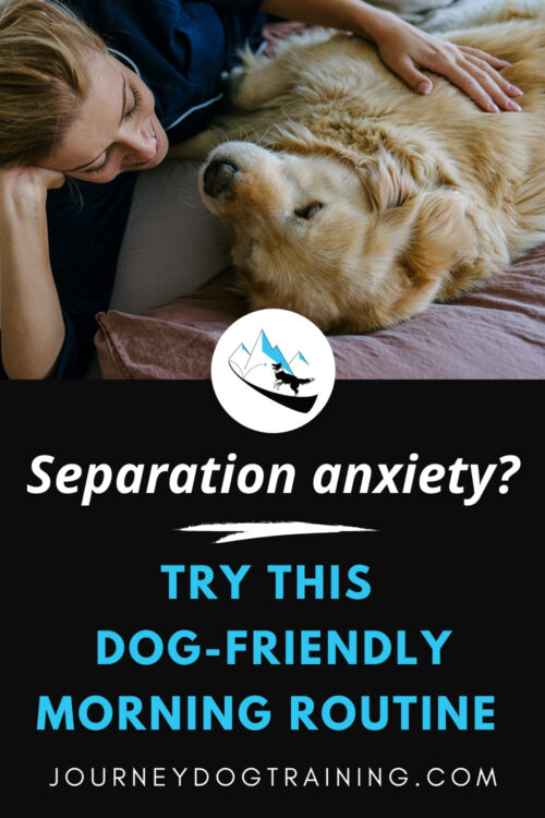 Switch to this Simple, Quick Dog-Friendly Morning Routine | Journey Dog ...